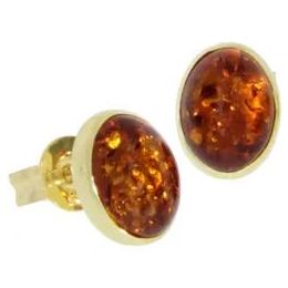 Paar Ohrstecker OSTSEE-SCHMUCK "- Classic 8 x 6 mm - Gold 333/000 - Bernstein" Gr. 9, gold (gold 333, goldfarben, gelb), Ohrringe, Damen, Gelbgold 333