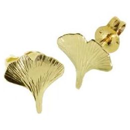 Paar Ohrstecker OSTSEE-SCHMUCK "- Ginkgoblatt - Gold 333/000 -" Gr. 10, gold (gold 333, goldfarben, gelb), Ohrringe, Damen, Gelbgold 333