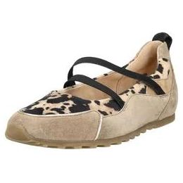 Riemchenballerina Paul Green "Paul Green Ballerinas Veloursleder", Damen, Gr. 38, leopard, Veloursleder, Schuhe Riemchenballerina