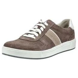 Sneaker PIUS Gabor "Pius Gabor Sneaker Veloursleder", Herren, Gr. 43, braun, beige, Veloursleder, Schuhe Sneaker