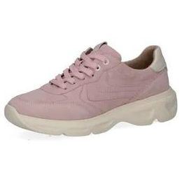 Sneaker Caprice "Caprice Sneaker Leder", Damen, Gr. 39, rose, Leder, Schuhe Sneaker