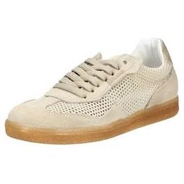 Sneaker Steve Madden "Steve Madden Sneaker Textil", Herren, Gr. 40, beige, Textil, Schuhe Sneaker