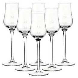 Aperitifglas Leonardo "Grappagl&auml;ser mit F&uuml;llstrichen Puccini Gastro-Edition 2 & 4 cl 6er Set transparent", bunt (transparent), Glas, Trinkgef&auml;&szlig;e