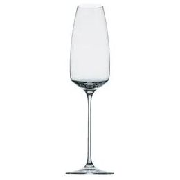 Champagnerglas Rosenthal "Champagnerglas TAC o2 300 ml transparent", bunt (transparent), 1 tlg., Glas, Trinkgef&auml;&szlig;e