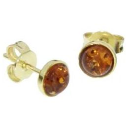 Paar Ohrstecker OSTSEE-SCHMUCK "- Classic 5 mm - Gold 585/000 - Bernstein" Gr. 6, gold (gold 585, goldfarben, gelb), Ohrringe, Damen, Gelbgold 585
