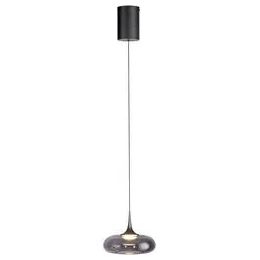 Sch&ouml;ner Wohnen LED Pendelleuchte "POSH", grau, 1, &Oslash; 22cm H: 80cm, 1 Stk., SCH&Ouml;NER WOHNEN-KOLLEKTION, Leuchten, SCH&Ouml;NER WOHNEN Kollektion, SimplyDim, Memoryfunktion, Comfort-Lift, LED Pendelleuchte
