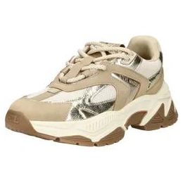 Sneaker Steve Madden "Steve Madden Sneaker Lederimitat", Damen, Gr. 39, beige, Lederimitat, Schuhe Sneaker