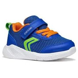 Lauflernschuh Geox "B SPRINTYE BOY", Baby, Gr. 26, blau, orange, Lederimitat, Mesh, Schuhe Lauflernschuh, Babyschuh mit farbenfrohen Bes&auml;tzen, Gr&ouml;&szlig;enschablone zum Download