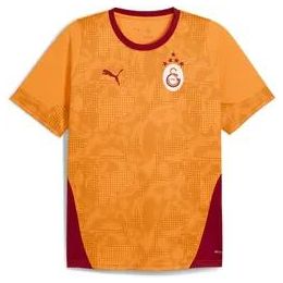 Fu&szlig;balltrikot Puma "GSK TRAINING JERSEY WITH STAR", Herren, Gr. L, intense orange, Obermaterial: 100% Polyester, slim fit normal, Rundhals, Trikots Fu&szlig;balltrikot, f&uuml;r Fu&szlig;ball, Slim Fit Passform, Rundhalsausschnitt