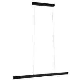 Paulmann LED Pendelleuchte "Aptare RGBW+", schwarz, 2, H: 150cm, 1 Stk., Leuchten, Smart Home, LED Pendelleuchte