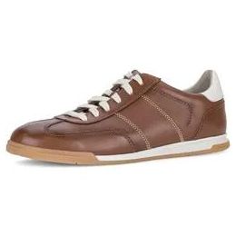 Sneaker Gabor "Sneaker low", Herren, Gr. 45, braun, Schuhe Sneaker