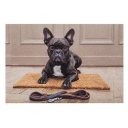 Astra Sauberlaufmatte 'Deco Print' 40 x 60 cm Bulldogge braun