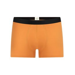 Albero Natur Boxer shorts 'Herren Trunkshorts aus Bio-Baumwolle' male Yellow size S