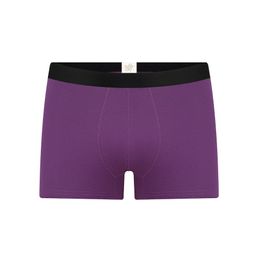 Albero Natur Boxer shorts 'Herren Trunkshorts aus Bio-Baumwolle' male Purple size XL