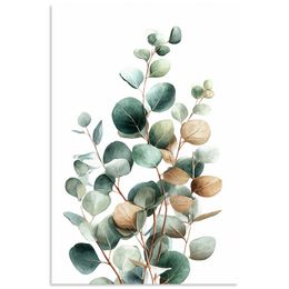 Wandbild Artland "Eukalyptus", farbe bild(er): gr&uuml;n, B:20cm H:30cm, Alu Dibond, Bilder, als Alubild, Leinwandbild, Poster, Wandaufkleber in verschied. Gr&ouml;&szlig;en