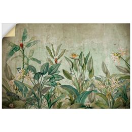 Wandbild Artland "Exotische Dschungel Landschaft", farbe bild(er): gr&uuml;n, B:30cm H:20cm, Bilder, als Alubild, Leinwandbild, Poster, Wandaufkleber in verschied. Gr&ouml;&szlig;en