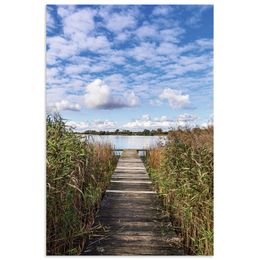Wandbild Artland "Steg und Schilf am Krakower See", farbe bild(er): blau, B:60cm H:90cm, Alu Dibond, Bilder, als Alubild, Leinwandbild, Poster, Wandaufkleber in verschied. Gr&ouml;&szlig;en