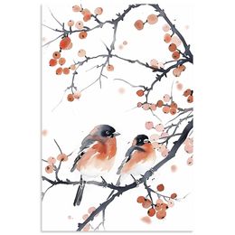 Wandbild Artland "Aquarell Gimpel", farbe bild(er): rot, B:80cm H:120cm, Alu Dibond, Bilder, als Alubild, Leinwandbild, Poster, Wandaufkleber in verschied. Gr&ouml;&szlig;en
