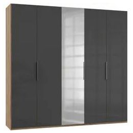 Kleiderschrank wimex "Level by fresh to go", grau (plankeneichefarben, grauglas), B:250cm H:236cm T:58cm, Schr&auml;nke, Kleiderschrank Dreht&uuml;renschrank, mit Glas- und Spiegelt&uuml;ren