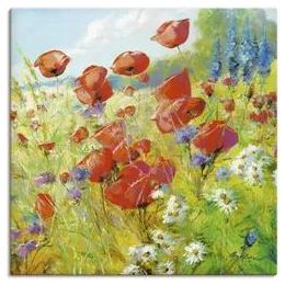 Leinwandbild Artland "Sommerwiese mit Mohnblumen", bunt (farbe bild(er): bunt), B:70cm H:70cm, Bilder, Leinwandbild, auf Holzrahmen gespannt