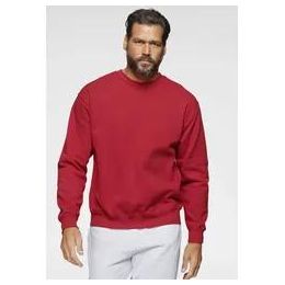 Sweatshirt Fruit of the Loom, Herren, Gr. XXL (60/62), rot, angeraute Sweatware, Obermaterial: 80% Baumwolle, 20% Polyester, schmal h&uuml;ftlang, Rundhals, Rippb&uuml;ndchen, Sweatshirts Sweatshirt, im unifarbenen Design
