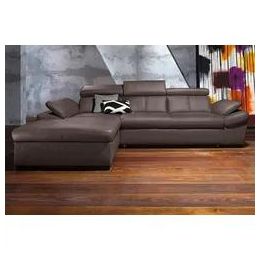 Ecksofa exxpo - SOFA FASHION "Salerno, Funktionssofa, Breite 280cm, hoher Sitzkomfort, L-Form", braun (schoko), B:280cm H:77cm T:170cm, Microfaser-Primabelle (100% Polyester);NaturLEDER;Kunstleder;Lederfaserstoff;Luxus-Microfaser Lederoptik, Sofas, Ecksofa, inkl. Kopf- und Armteilverstellung, wahlweise mit Bettfunktion