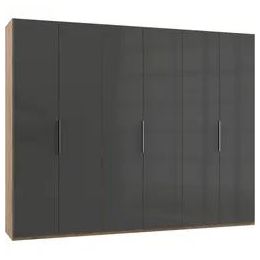 Kleiderschrank wimex "Level by fresh to go", grau (plankeneichefarben, grauglas), B:300cm H:236cm T:58cm, Schr&auml;nke, Kleiderschrank Dreht&uuml;renschrank, T&uuml;ren vollfl&auml;chig mit farbigem Glas