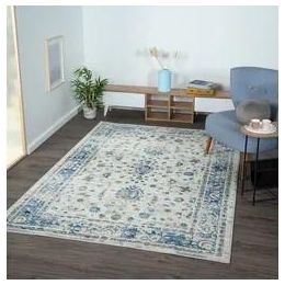Teppich "My Heriz", braun (beige, blau, grau), B:160cm H:8mm L:230cm, Polyester, MyFlair M&Ouml;BEL & ACCESSOIRES, Teppiche, Teppich, Kurzflor, klassisches Orient Design, besonders weich durch Microfaser