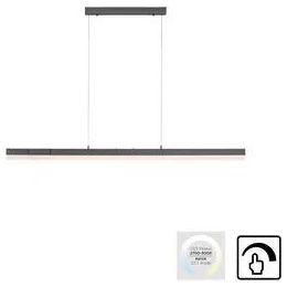 Paul Neuhaus LED Deckenleuchte "SINA", grau (anthrazit), 3, 1 Stk., Leuchten, LED, LED Pendelleuchte Pendellampe Esszimmerlampe Pendelleuchte