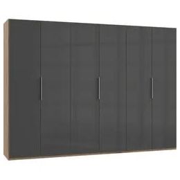 Kleiderschrank wimex "Level by fresh to go", grau (plankeneichefarben, grauglas), B:300cm H:216cm T:58cm, Schr&auml;nke, Kleiderschrank Dreht&uuml;renschrank, T&uuml;ren vollfl&auml;chig mit farbigem Glas