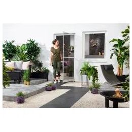 Insektenschutz-T&uuml;r Hecht INTERNATIONAL "MASTER SLIM+", wei&szlig; (rahmen: wei&szlig; gewebe: anthrazit), B:100cm H:210cm, Insektenschutzgitter, BxH: 100x210 cm inkl. Zargenrahmen