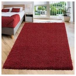 Hochflor-Teppich Sanat "LOCA" Gr. 1, rot, B:60cm H:30mm L:110cm, Kunstfaser, Teppiche, Wohnzimmer, Langflor, Shaggy, Schlafzimmer