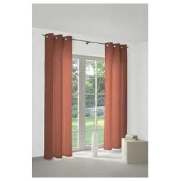 Vorhang WIRTH "NEUFAHRN" Gr. 3, orange (terra), B:135cm H:225cm, Jacquard, Polyacryl, Polyester, Gardinen