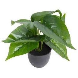 K&uuml;nstliche Zimmerpflanze BOTANIC-HAUS "Philodendron", gr&uuml;n, B:28cm H:24cm T:28cm &Oslash;:28cm, Kunststoff, Kunstpflanzen, K&uuml;nstliche Zimmerpflanze