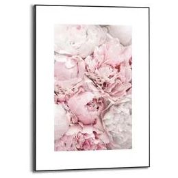 Bild Reinders "Gerahmtes Bild Pfingstrosen Blumen - Romantisch", rosa (farbe bild(er): rosa), B:50cm H:70cm, MDF, Bilder, Bild