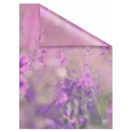 Fensterfolie LICHTBLICK ORIGINAL "Blumenwiese" Gr. 5, lila (violett), B:100cm L:180cm, PVC, Fensterfolien