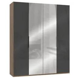 Kleiderschrank wimex "Level by fresh to go", grau (plankeneichefarben, grauglas), B:200cm H:236cm T:58cm, Schr&auml;nke, Kleiderschrank Dreht&uuml;renschrank, mit Glas- und Spiegelt&uuml;ren