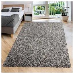 Hochflor-Teppich Sanat "LOCA" Gr. 1, grau (hellgrau), B:60cm H:30mm L:110cm, Kunstfaser, Teppiche, Wohnzimmer, Langflor, Shaggy, Schlafzimmer