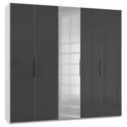 Kleiderschrank wimex "Level by fresh to go", wei&szlig; (wei&szlig;, grauglas), B:250cm H:236cm T:58cm, Schr&auml;nke, Kleiderschrank Dreht&uuml;renschrank, mit Glas- und Spiegelt&uuml;ren