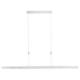 Paul Neuhaus LED Pendelleuchte "Adriana", grau (aluminiumfarben), 3, H: 180cm, 1 Stk., Leuchten, CCT-Lichtmanagement; Touchdimmer; Touchschalter; H&ouml;henverstellbar, LED Pendelleuchte