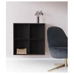 Regal HAMMEL FURNITURE "Mistral, Hochwertig H&auml;ngeregal, Wandregal, Verstellbar Einlegeb&ouml;den", schwarz (schwarz gebeizt), B:70cm H:70cm T:27cm, Regale, Regal, B:70 cm, T:27 cm, anpassungsbar Designm&ouml;bel