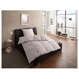 fj&ouml;dur G&auml;nsedaunenbettdecke FJ&Ouml;DUR "Franzisk, Bettdecken f&uuml;r Sommer oder Winter, Decke", wei&szlig;, B:135cm L:200cm, Bezug: 100% Baumwolle. F&uuml;llung: 100% G&auml;nsedaunen, Bettdecken, Bettdecke 135x200, allergiker geeignet (f&uuml;r Hausstauballergiker)