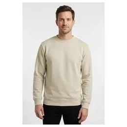Sweatshirt Fruit of the Loom, Herren, Gr. S (44/46), beige (natur), angeraute Sweatware, Obermaterial: 80% Baumwolle, 20% Polyester, unifarben, schmal h&uuml;ftlang, Rundhals, Rippb&uuml;ndchen, Sweatshirts Sweatshirt, im unifarbenen Design