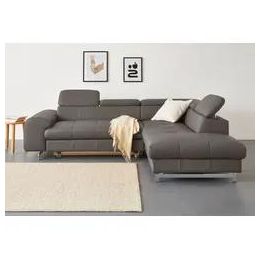 Ecksofa COTTA "Chef L-Form", braun (cocoa), B:257cm H:72cm T:206cm, Luxus-Microfaser (100% Polyester);Kunstleder Softlux;Leder Advantage (abgedecktes Spalt-Rindsleder), R&uuml;ckseite mit schwarzem Spannstoff bezogen;NaturLEDER (echtes Rindsleder), R&uuml;ckseite mit schwarzem Spannstoff bezogen, Sofas, Ecksofa, mit Kopfteilverstellung, edle Metallkufen, wahlweise mit Bettfunktion