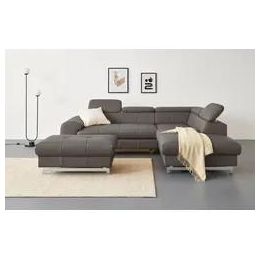 Ecksofa COTTA "Chef L-Form", braun (cocoa), B:257cm H:72cm T:206cm, Luxus-Microfaser (100% Polyester);Kunstleder Softlux;Leder Advantage (abgedecktes Spalt-Rindsleder), R&uuml;ckseite mit schwarzem Spannstoff bezogen;NaturLEDER (echtes Rindsleder), R&uuml;ckseite mit schwarzem Spannstoff bezogen, Sofas, Ecksofa, mit Kopfteilverstellung, edle Metallkufen, wahlweise mit Bettfunktion