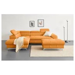 Ecksofa COTTA "Chef L-Form", orange (amber), B:257cm H:72cm T:206cm, Luxus-Microfaser (100% Polyester);Kunstleder Softlux;Leder Advantage (abgedecktes Spalt-Rindsleder), R&uuml;ckseite mit schwarzem Spannstoff bezogen;NaturLEDER (echtes Rindsleder), R&uuml;ckseite mit schwarzem Spannstoff bezogen, Sofas, Ecksofa, mit Kopfteilverstellung, edle Metallkufen, wahlweise mit Bettfunktion