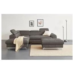 Ecksofa COTTA "Chef L-Form", braun (cocoa), B:257cm H:72cm T:206cm, Luxus-Microfaser (100% Polyester);Kunstleder Softlux;Leder Advantage (abgedecktes Spalt-Rindsleder), R&uuml;ckseite mit schwarzem Spannstoff bezogen;NaturLEDER (echtes Rindsleder), R&uuml;ckseite mit schwarzem Spannstoff bezogen, Sofas, Ecksofa, mit Kopfteilverstellung, edle Metallkufen, wahlweise mit Bettfunktion