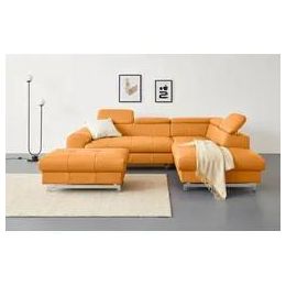 Ecksofa COTTA "Chef L-Form", orange (amber), B:257cm H:72cm T:206cm, Luxus-Microfaser (100% Polyester);Kunstleder Softlux;Leder Advantage (abgedecktes Spalt-Rindsleder), R&uuml;ckseite mit schwarzem Spannstoff bezogen;NaturLEDER (echtes Rindsleder), R&uuml;ckseite mit schwarzem Spannstoff bezogen, Sofas, Ecksofa, mit Kopfteilverstellung, edle Metallkufen, wahlweise mit Bettfunktion
