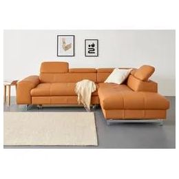 Ecksofa COTTA "Chef L-Form", orange (amber), B:257cm H:72cm T:206cm, Luxus-Microfaser (100% Polyester);Kunstleder Softlux;Leder Advantage (abgedecktes Spalt-Rindsleder), R&uuml;ckseite mit schwarzem Spannstoff bezogen;NaturLEDER (echtes Rindsleder), R&uuml;ckseite mit schwarzem Spannstoff bezogen, Sofas, Ecksofa, mit Kopfteilverstellung, edle Metallkufen, wahlweise mit Bettfunktion