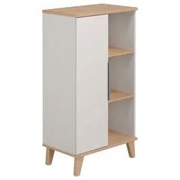 Standregal Paidi "FIENE in Grau mit T&uuml;r und 6 F&auml;chern, 66x120x40cm", grau (kieselgrau, scandinavian wood), B:120cm H:66cm T:40cm, Regale, Standregal, stabiles und langlebiges Regal aus Holz, T&uuml;r links/rechts montierbar
